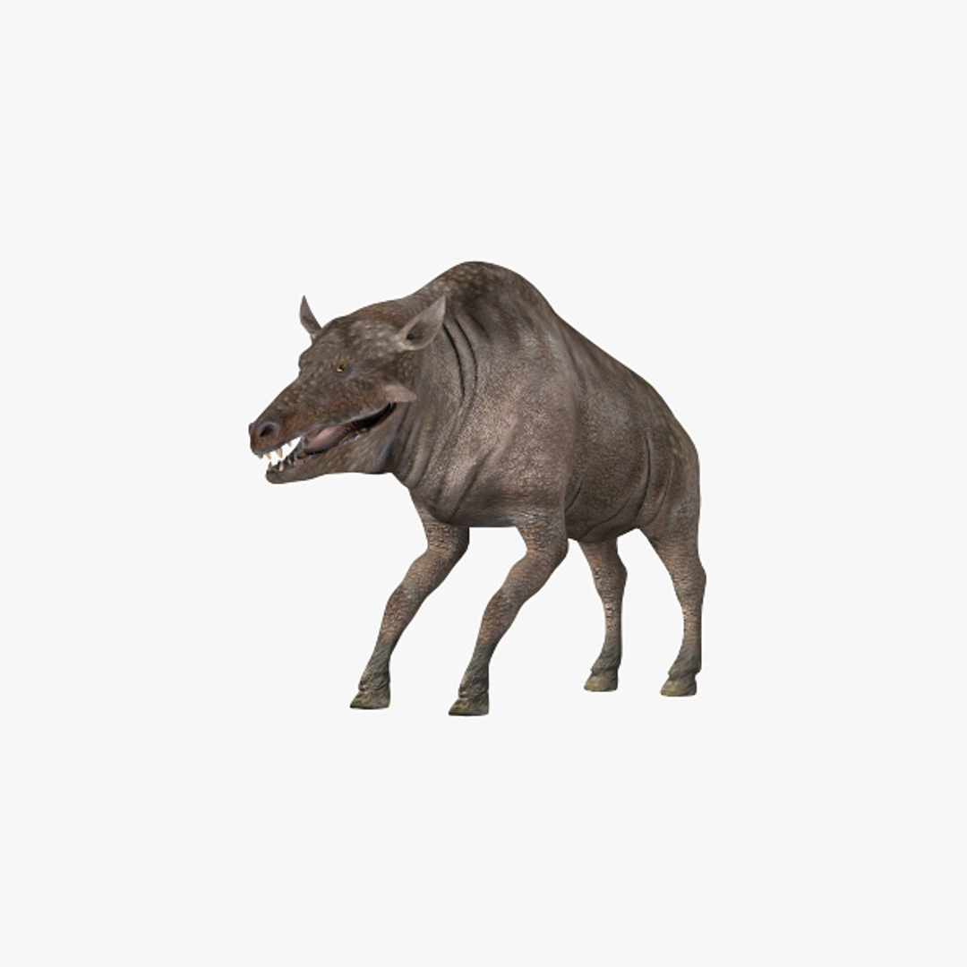 Entelodont Pigs 3d Model