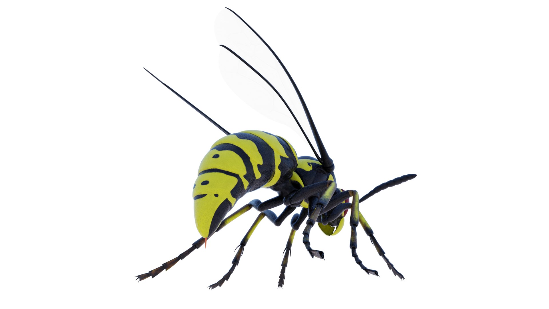 Wasp insect bug model - TurboSquid 1517670