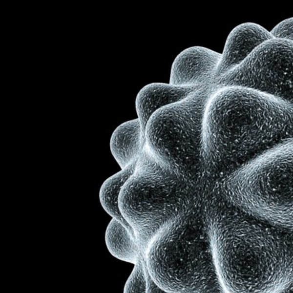 microscopic pollen bacteria cell 3d model