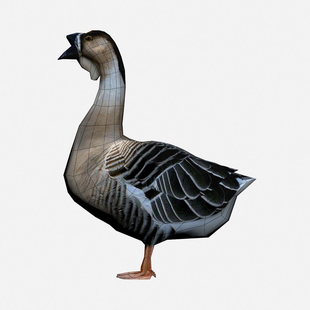 Max Male Goose