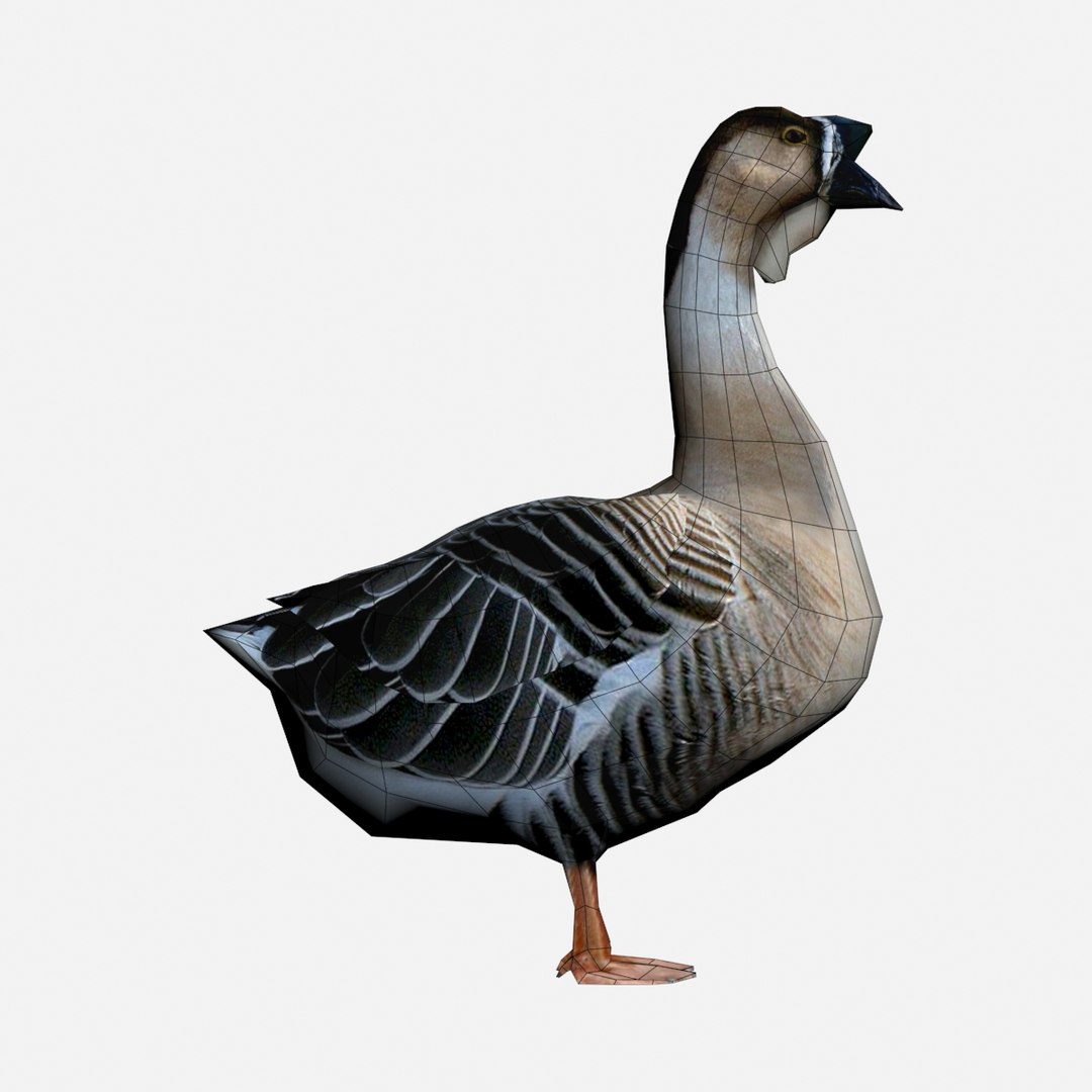 Max Male Goose