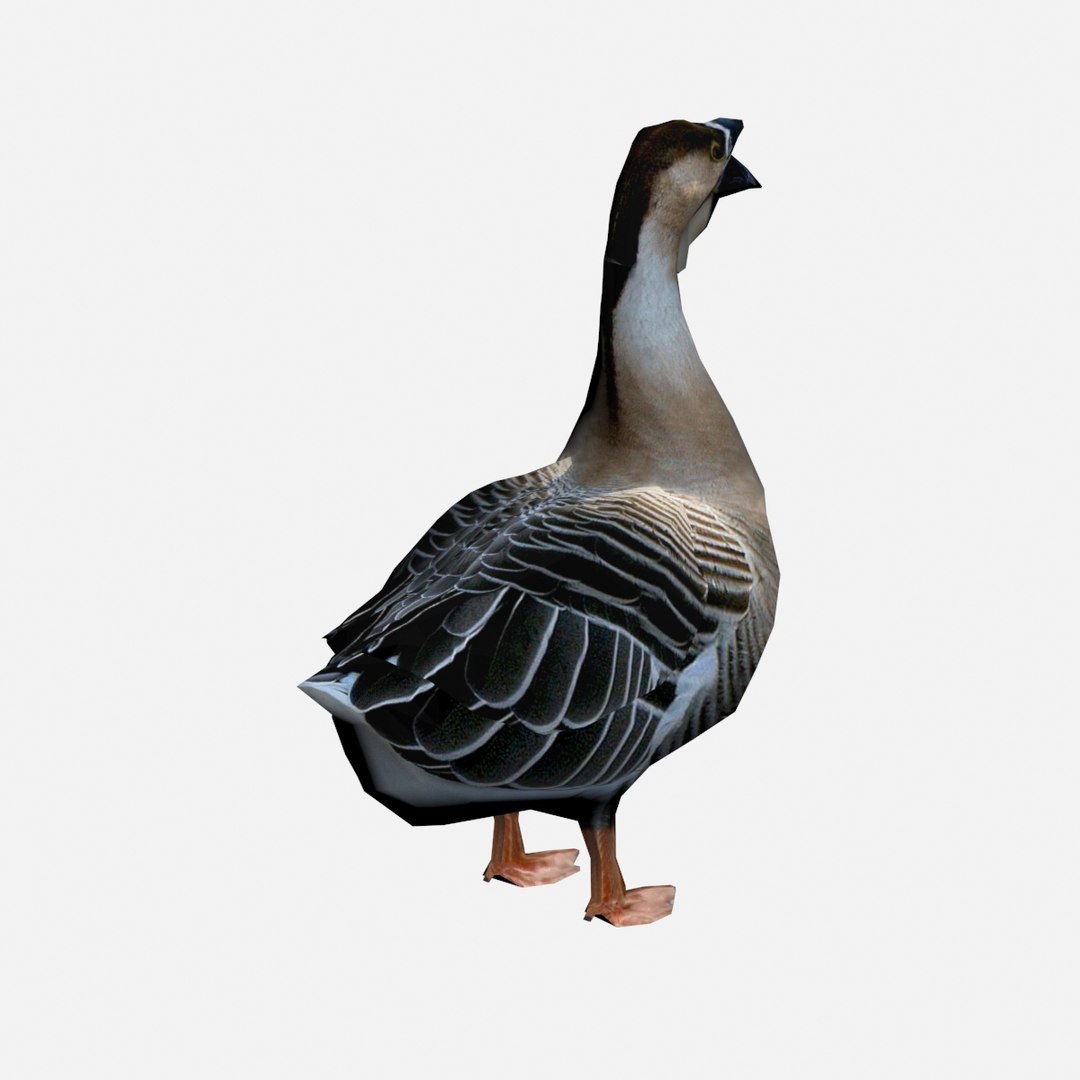 Max Male Goose