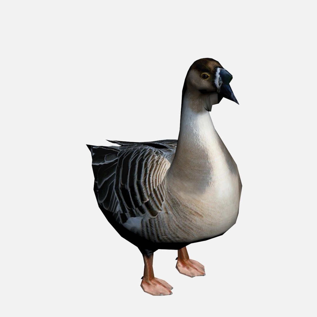 Max Male Goose