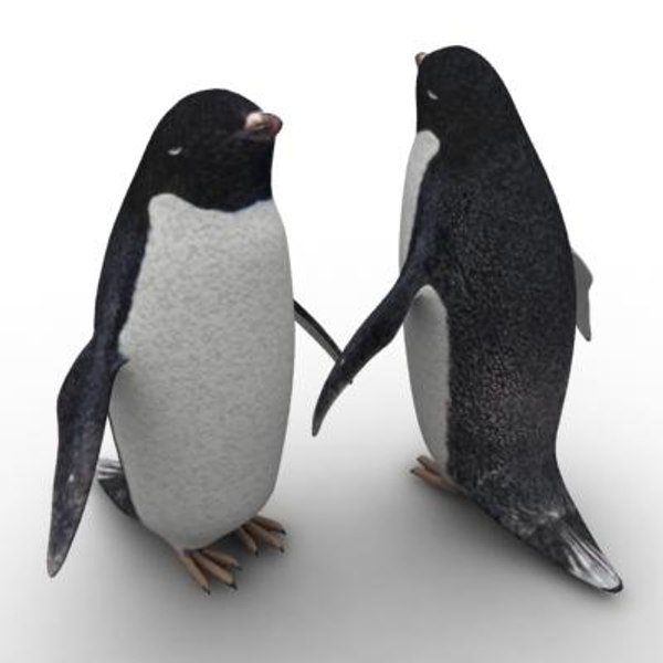 penguin 3d model