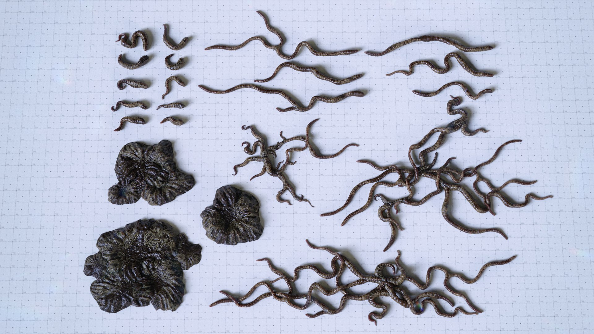 3D Model Alien Tendrils 22 Variants - TurboSquid 1480238