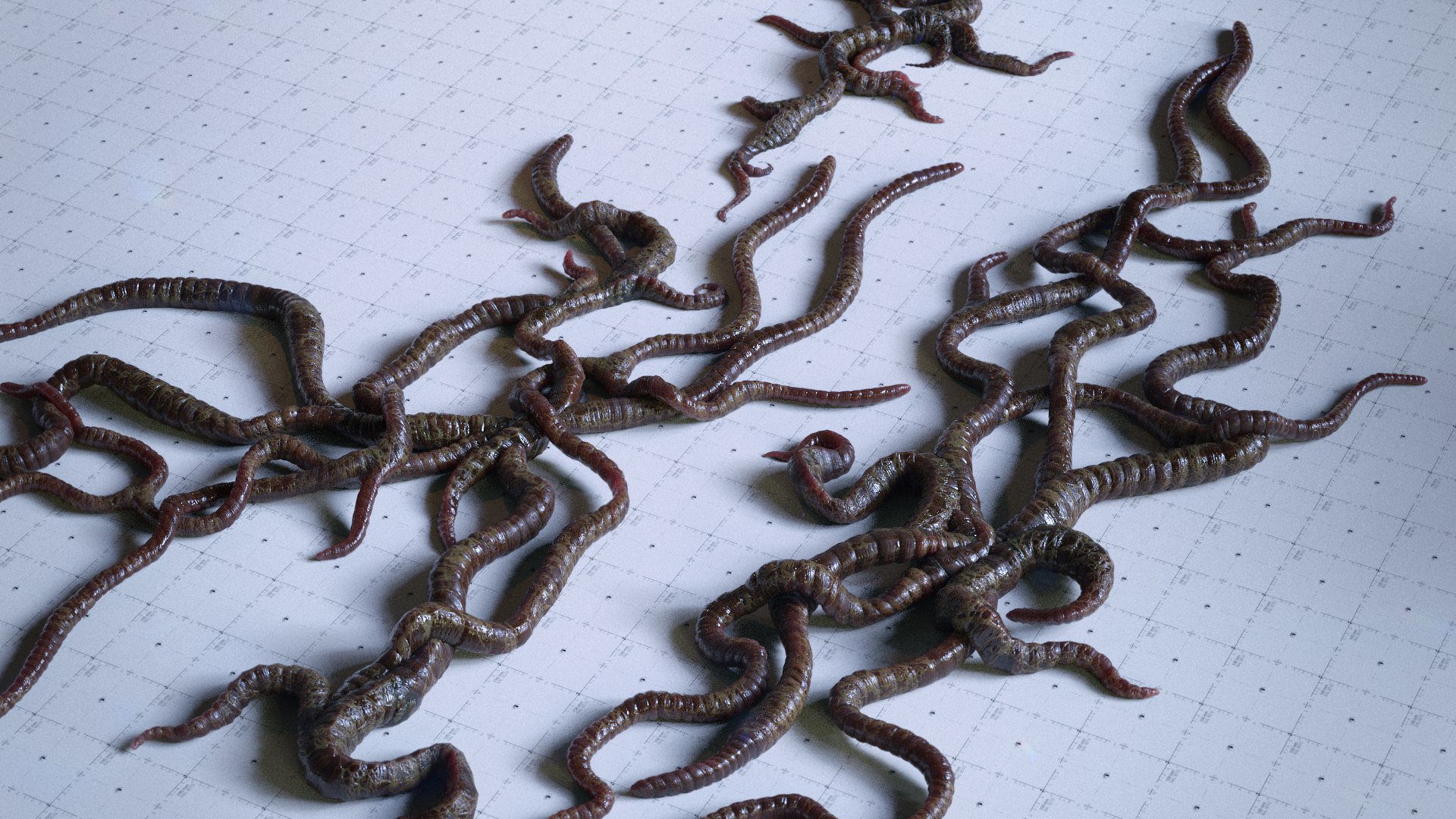 3D Model Alien Tendrils 22 Variants - TurboSquid 1480238