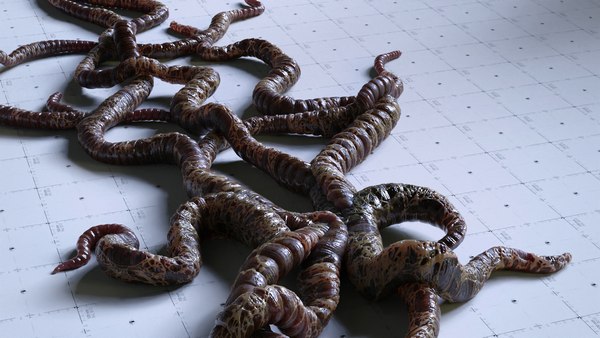 3D model alien tendrils 22 variants - TurboSquid 1480238