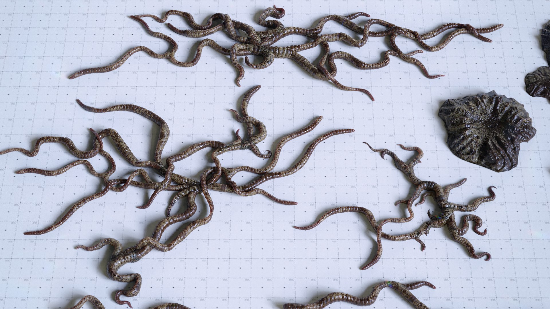 3D Model Alien Tendrils 22 Variants - TurboSquid 1480238