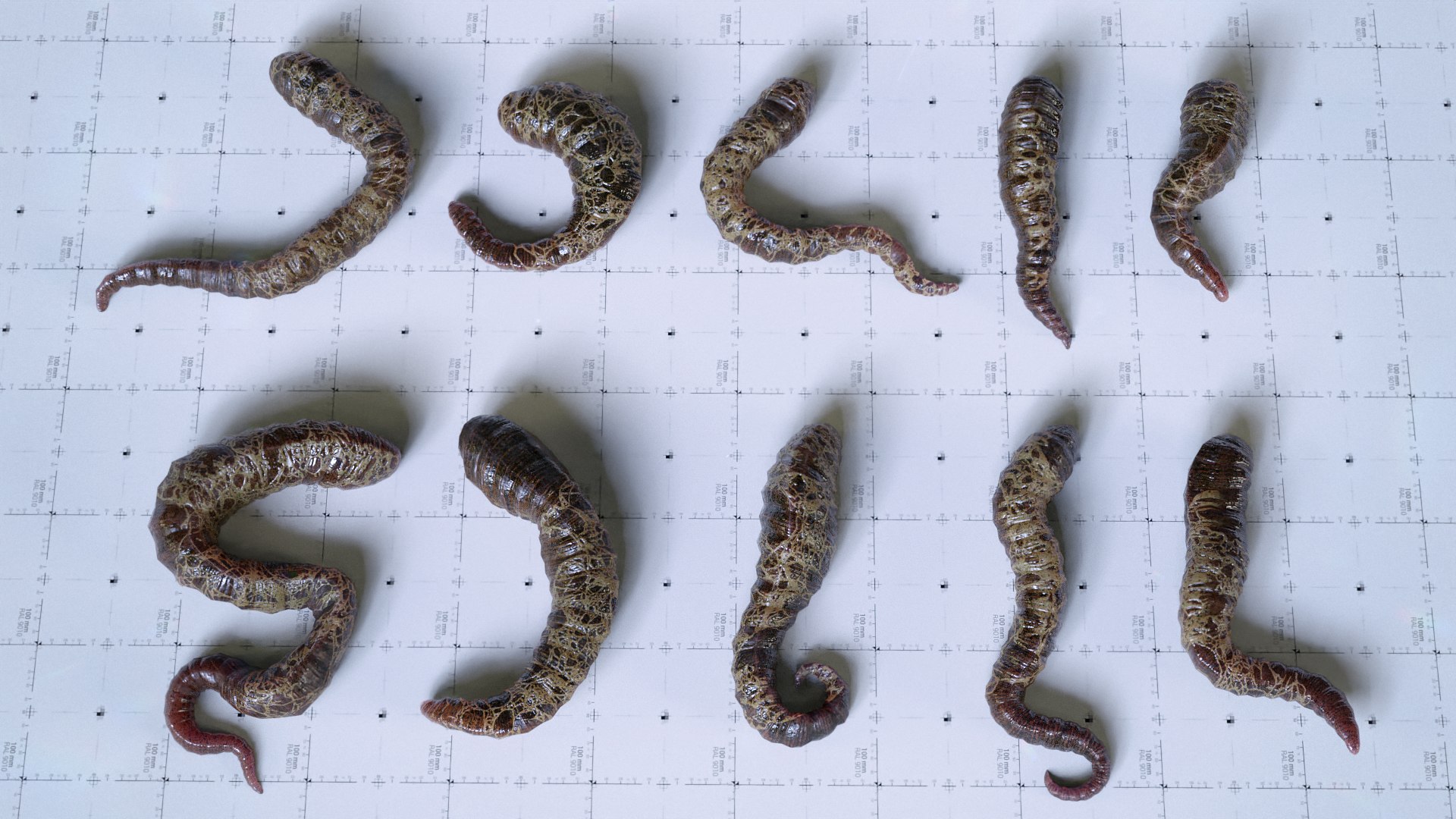 3D Model Alien Tendrils 22 Variants - TurboSquid 1480238