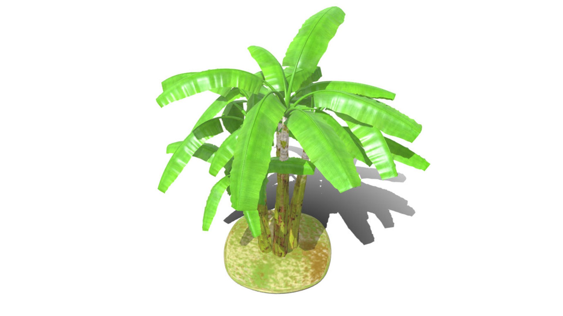 Banana tree 001 3D model - TurboSquid 2048127