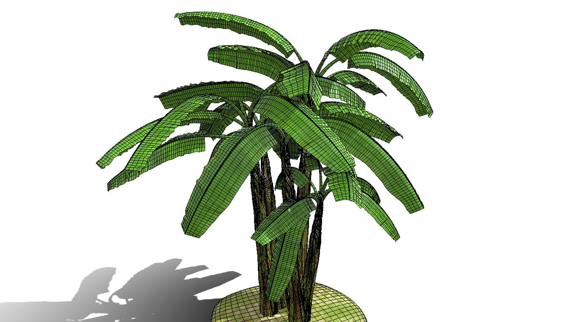 Banana tree 001 3D model - TurboSquid 2048127