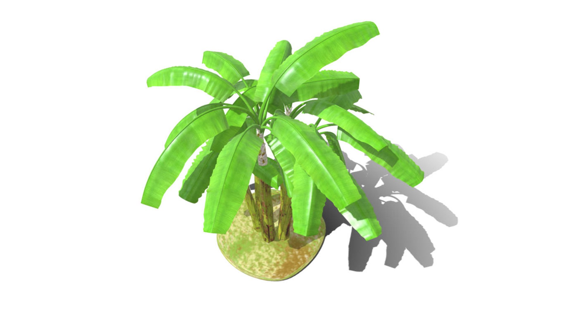 Banana tree 001 3D model - TurboSquid 2048127