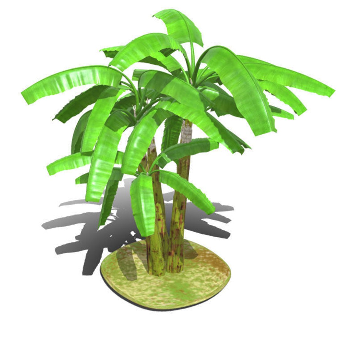 Banana tree 001 3D model - TurboSquid 2048127