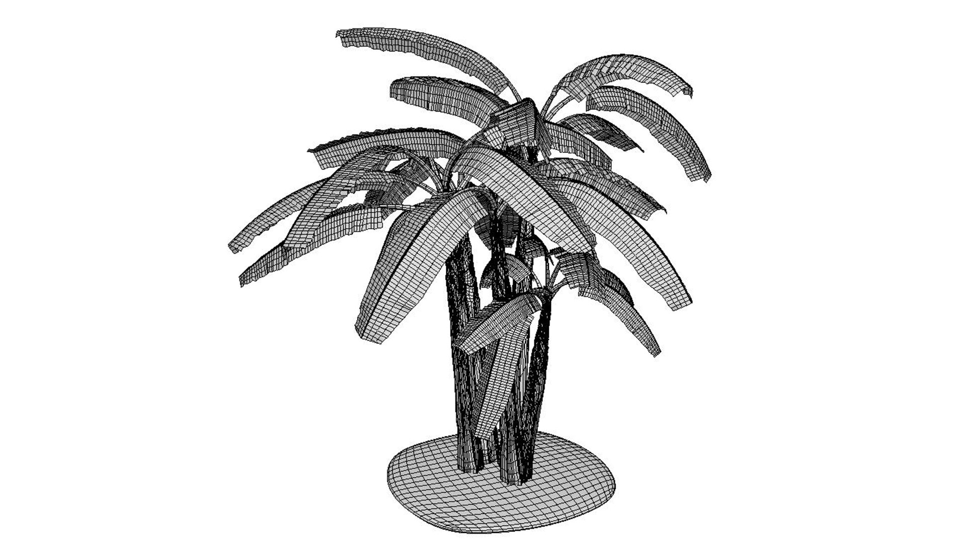 Banana tree 001 3D model - TurboSquid 2048127