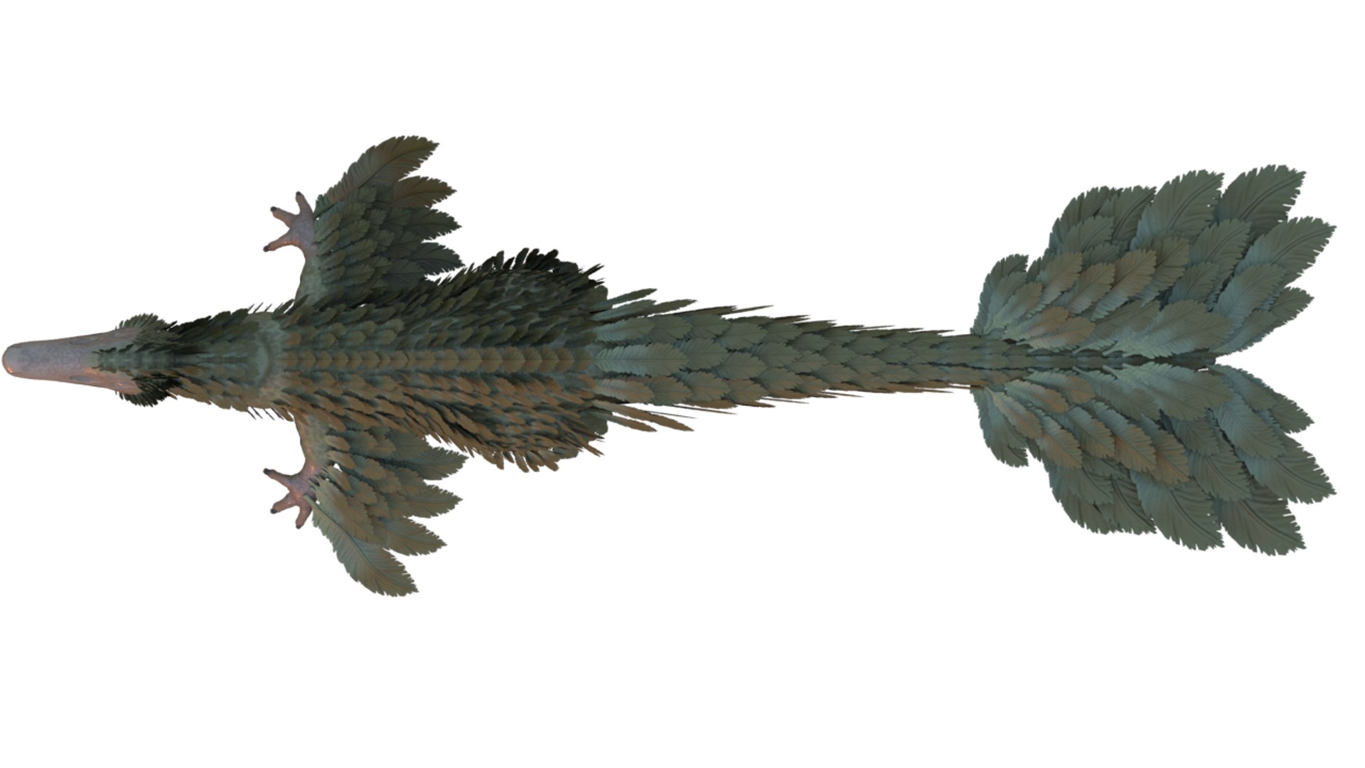 3D Austroraptor Model - TurboSquid 1523737