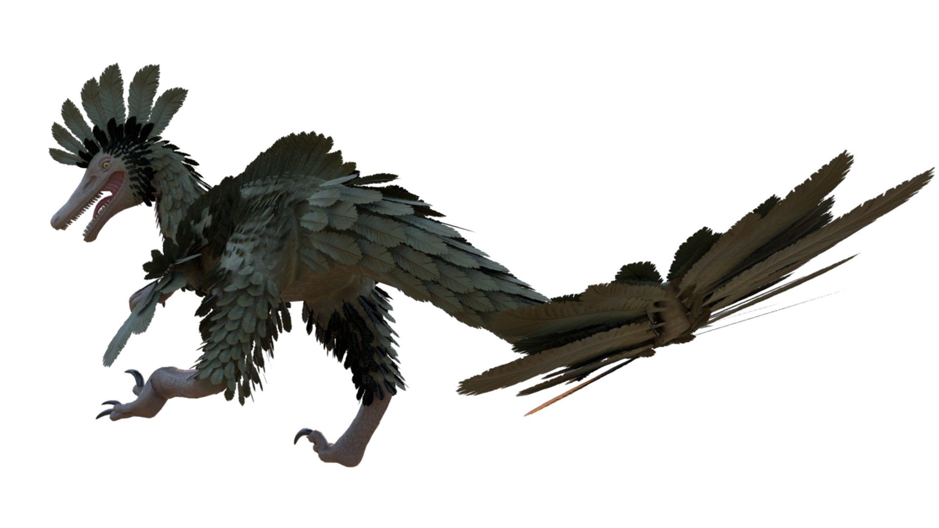 3D Austroraptor Model - TurboSquid 1523737