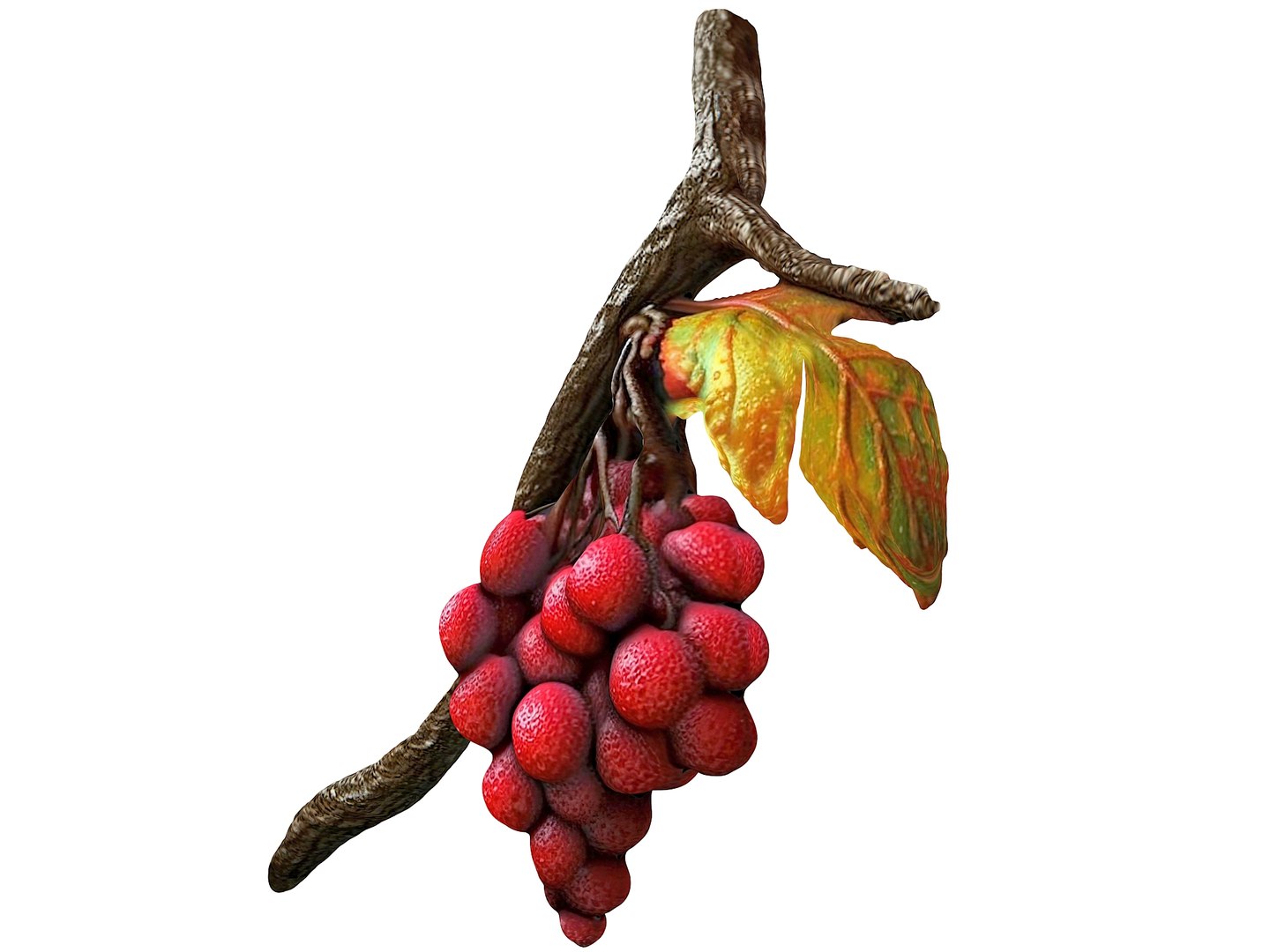 Magical Fruits 3D Model - TurboSquid 2102058