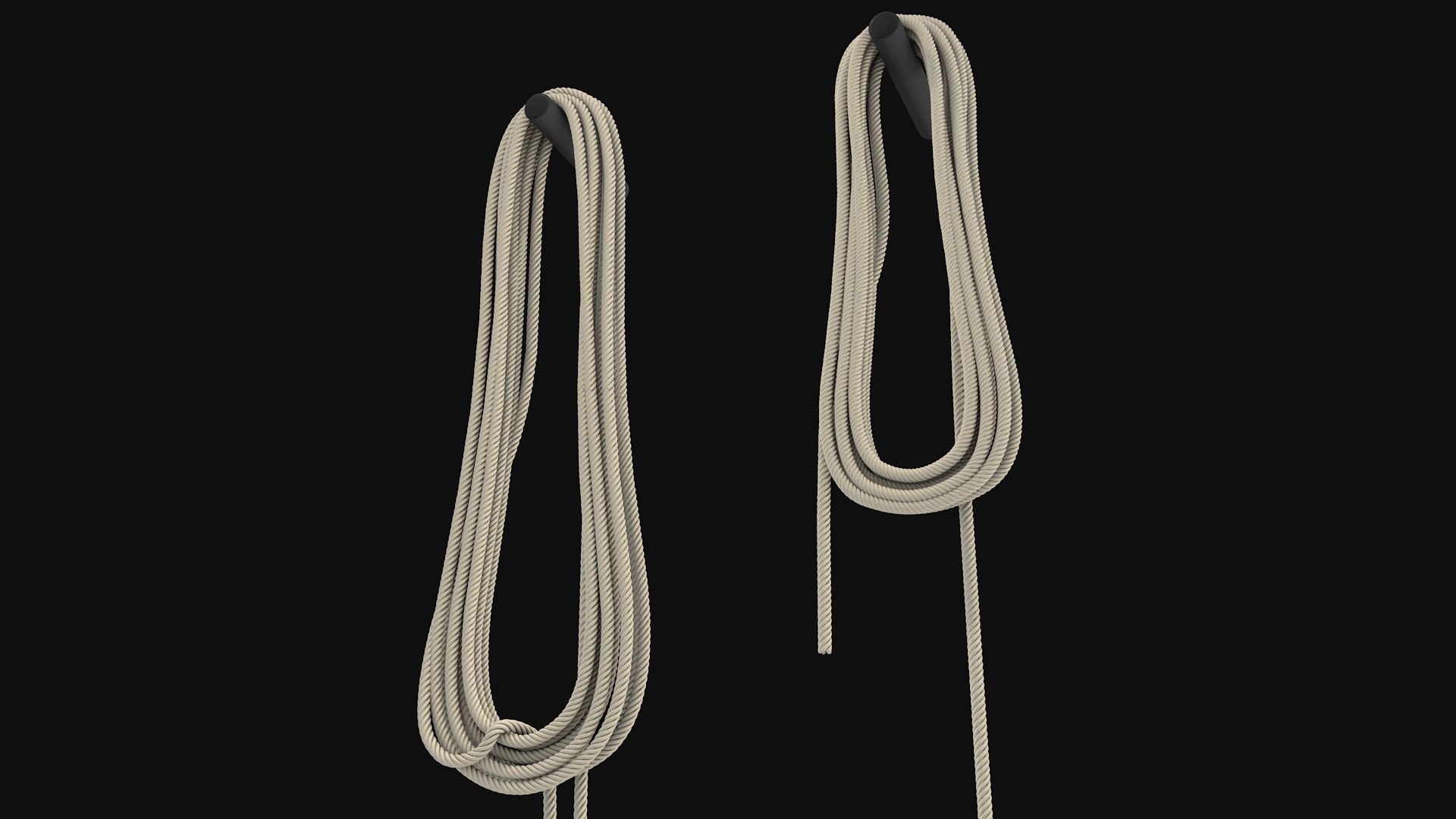 High Poly 2 ROPES Model - TurboSquid 2300031