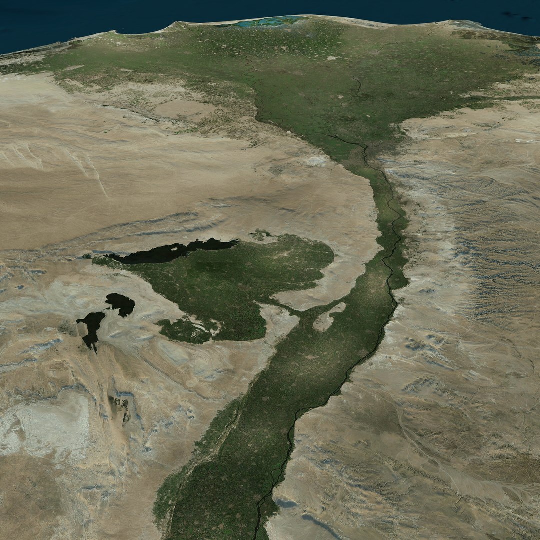 Nile River Delta Landscape