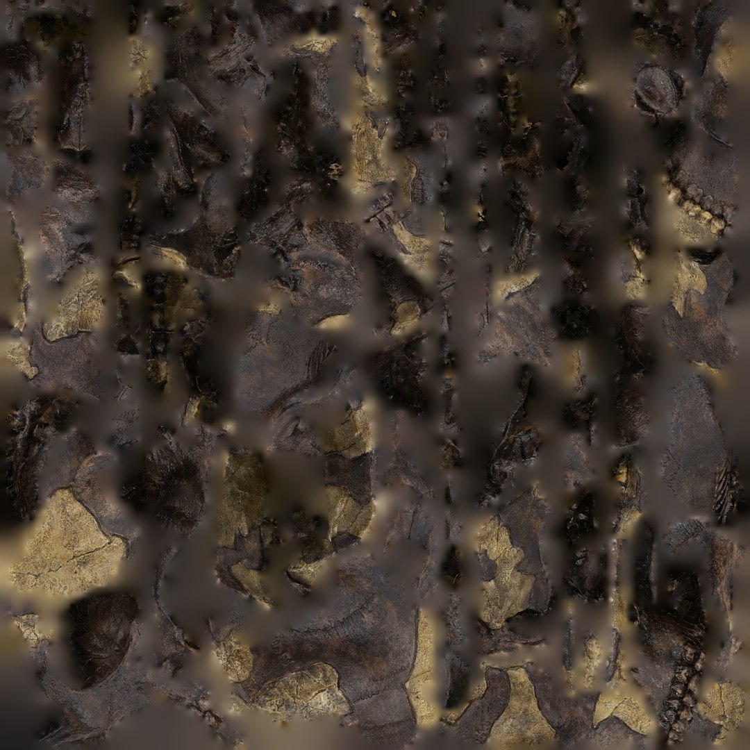 3D Skull Australopithecus Model - TurboSquid 1321210