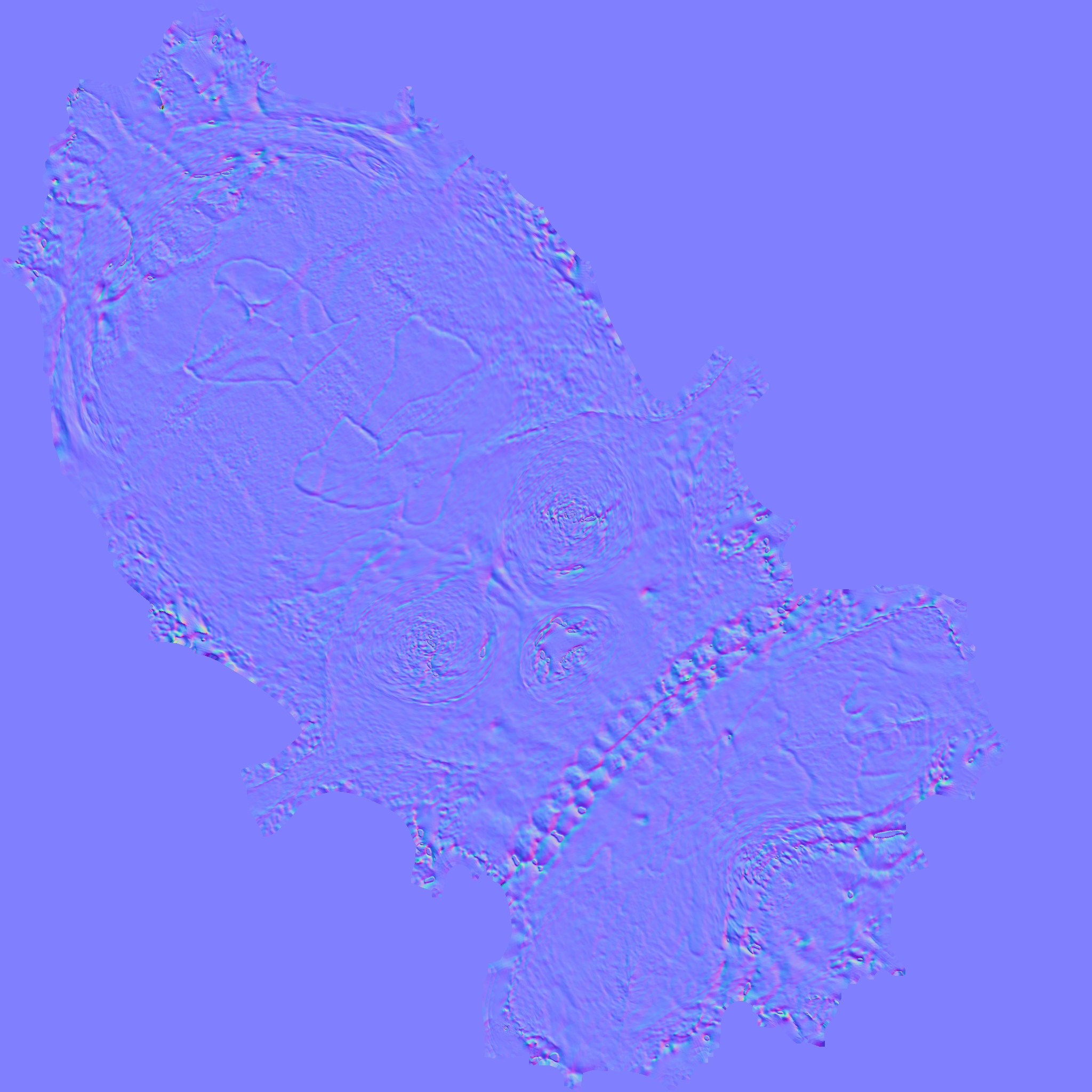 modelo 3d Skull Realistic Australopithecus afarensis Lucy skull ...