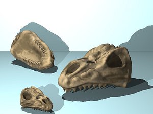 3D Mythological Creatures Skull Models - Browse & Download Formats ...