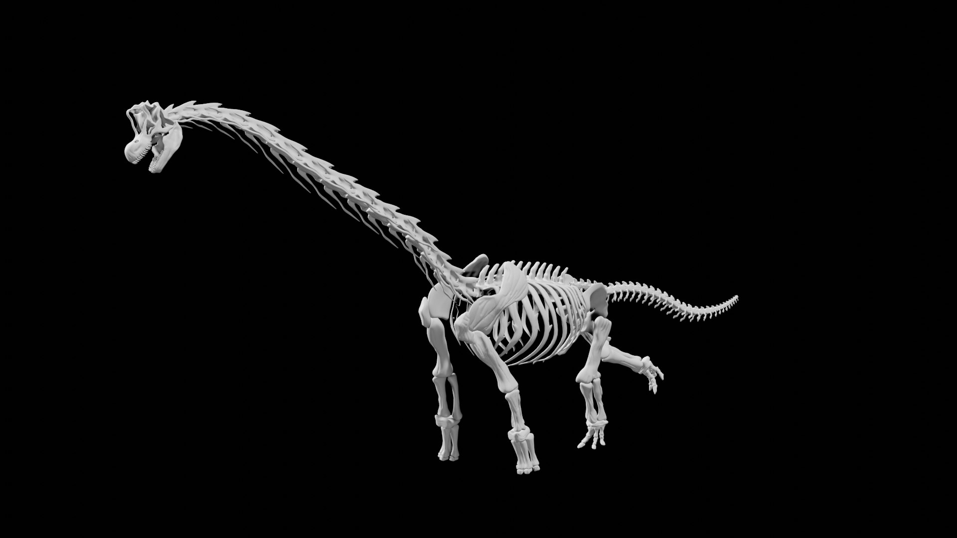 3D Rigged Brachiosaurus Skeleton - TurboSquid 1859928