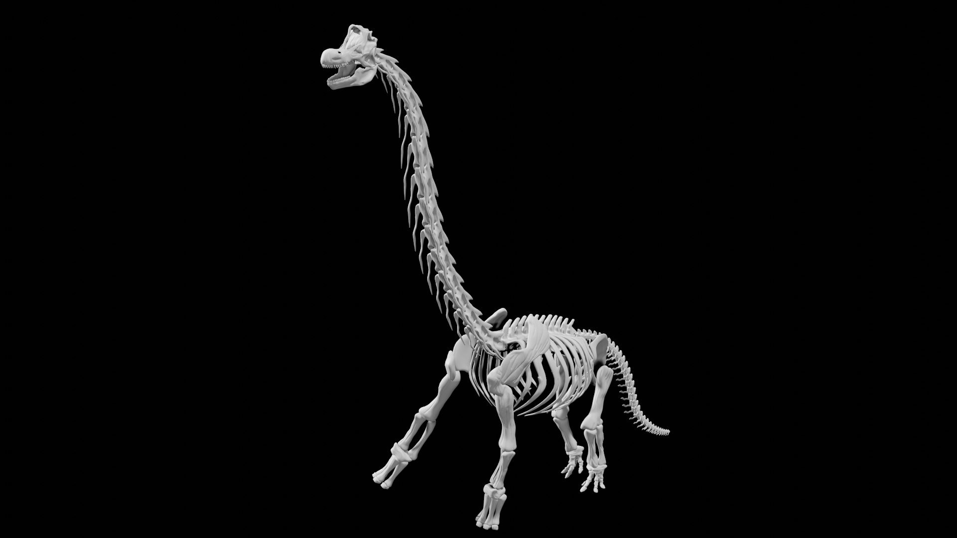 3D Rigged Brachiosaurus Skeleton - TurboSquid 1859928