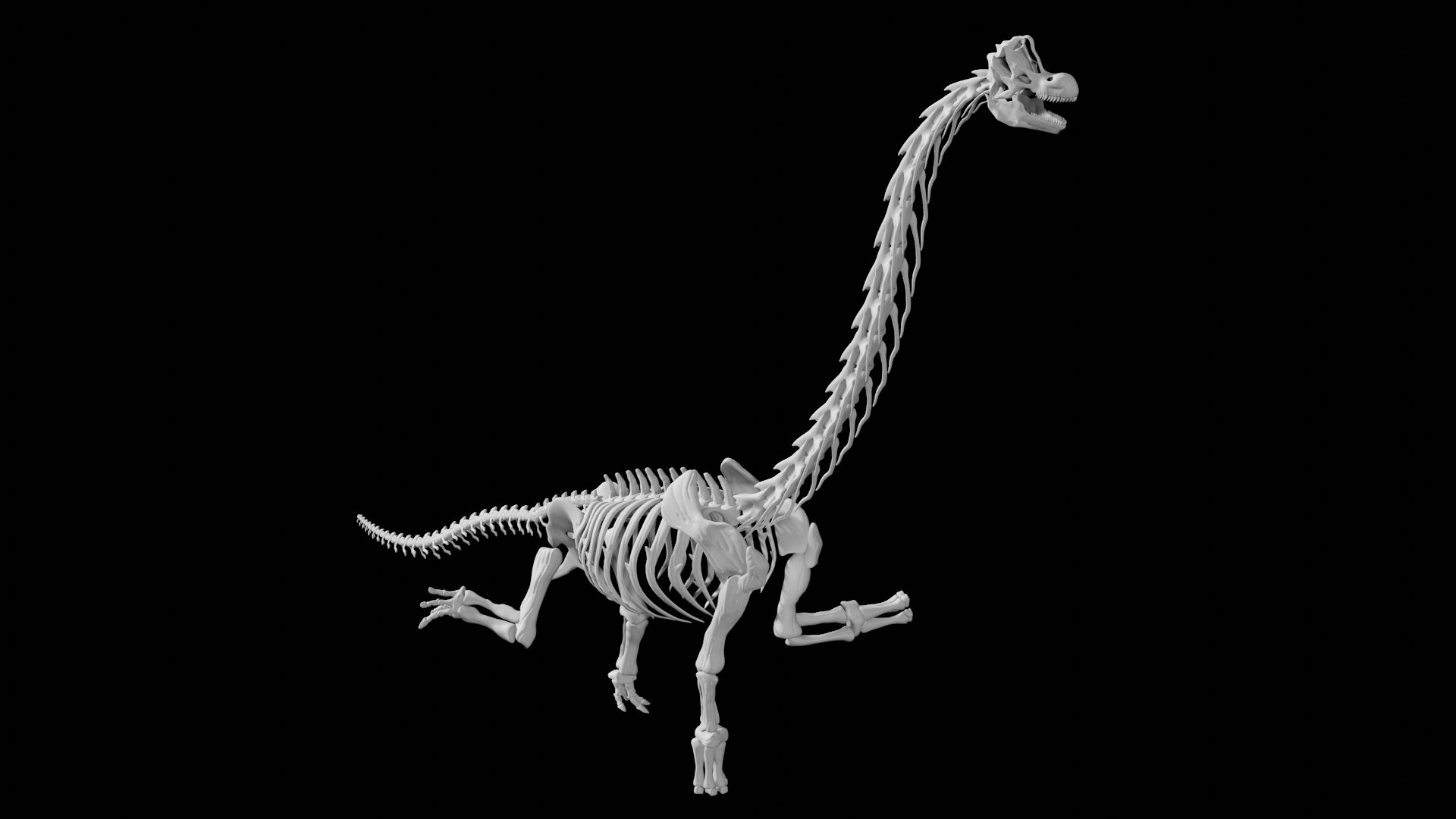 3D Rigged Brachiosaurus Skeleton - TurboSquid 1859928
