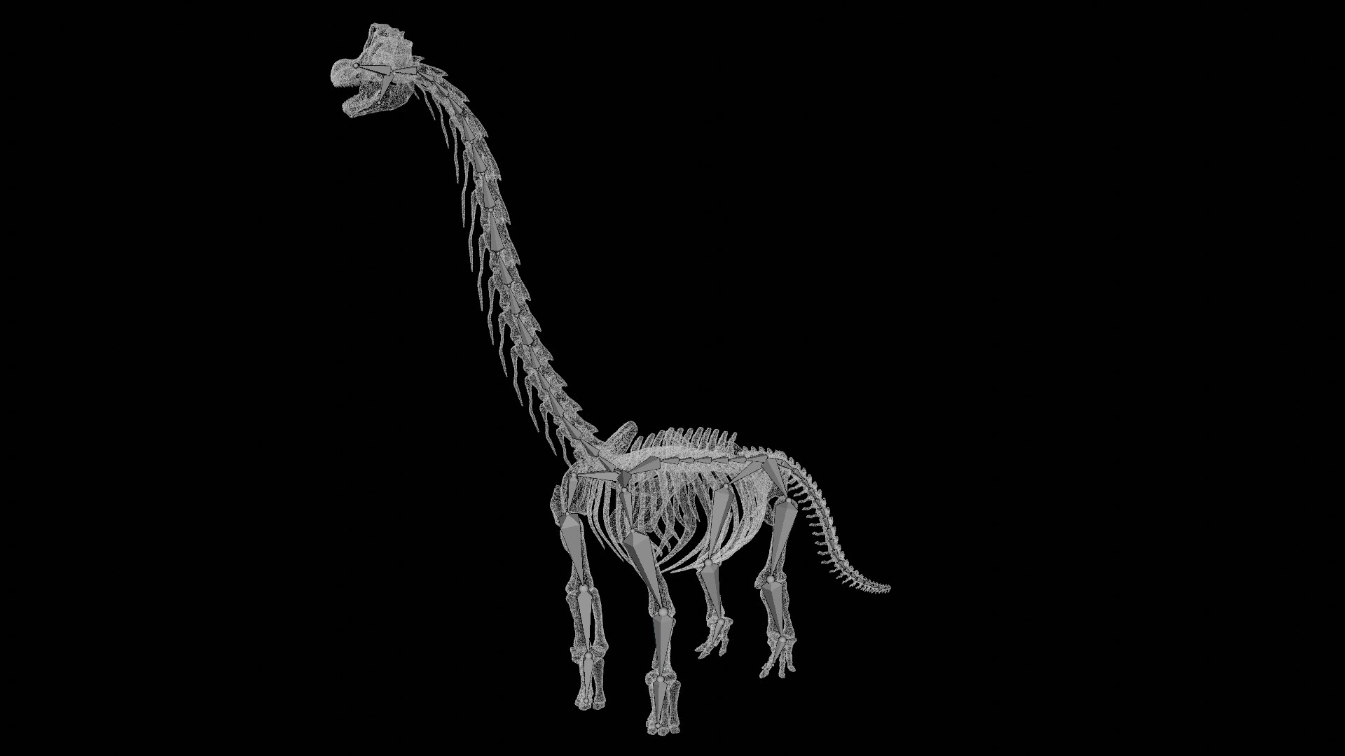 3D Rigged Brachiosaurus Skeleton - TurboSquid 1859928