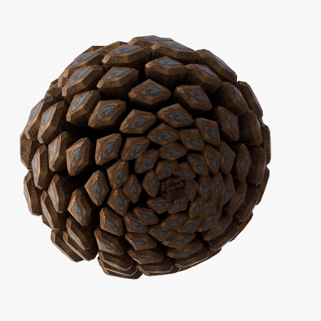3d Model Pine Cone