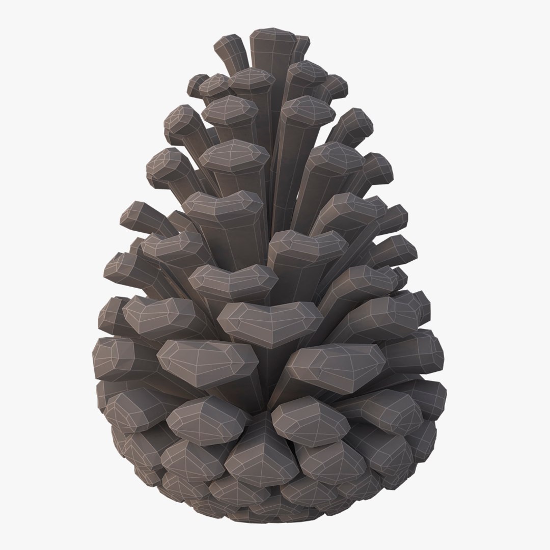 3d Model Pine Cone