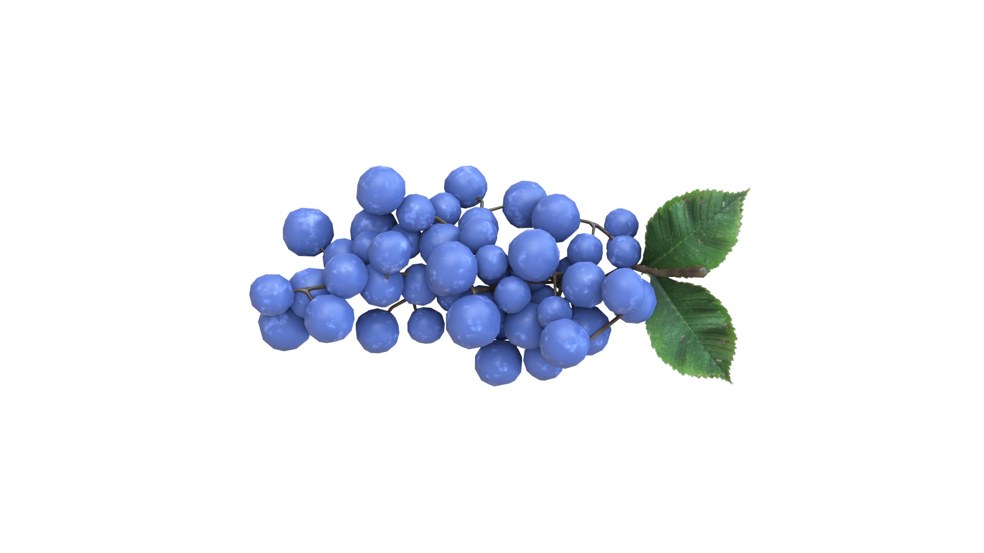 3D Set Of Low Poly Grapes Model - TurboSquid 2124125