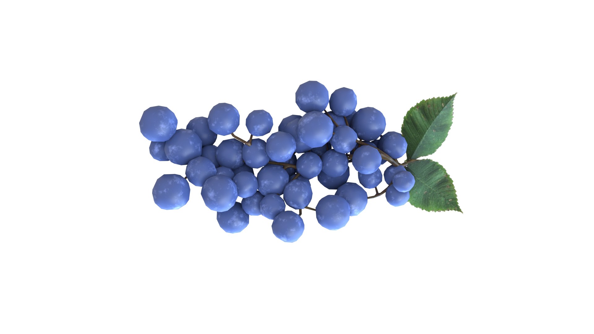 3D Set Of Low Poly Grapes Model - TurboSquid 2124125