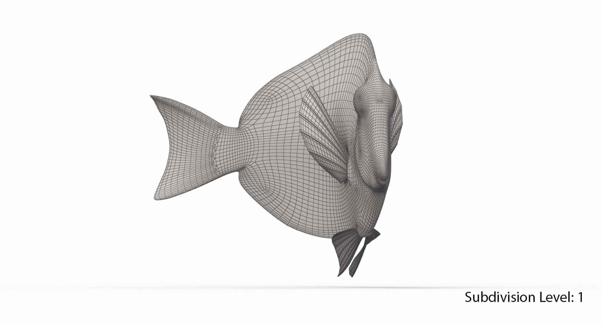 3D Blue Tang Animation Model - TurboSquid 1289396