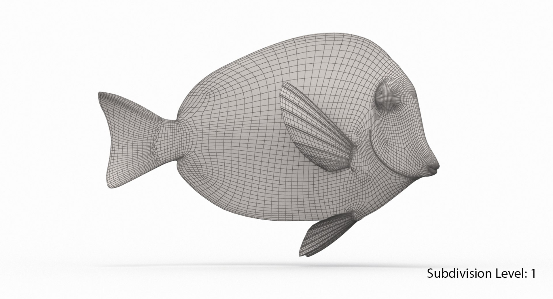 3D Blue Tang Animation Model - TurboSquid 1289396