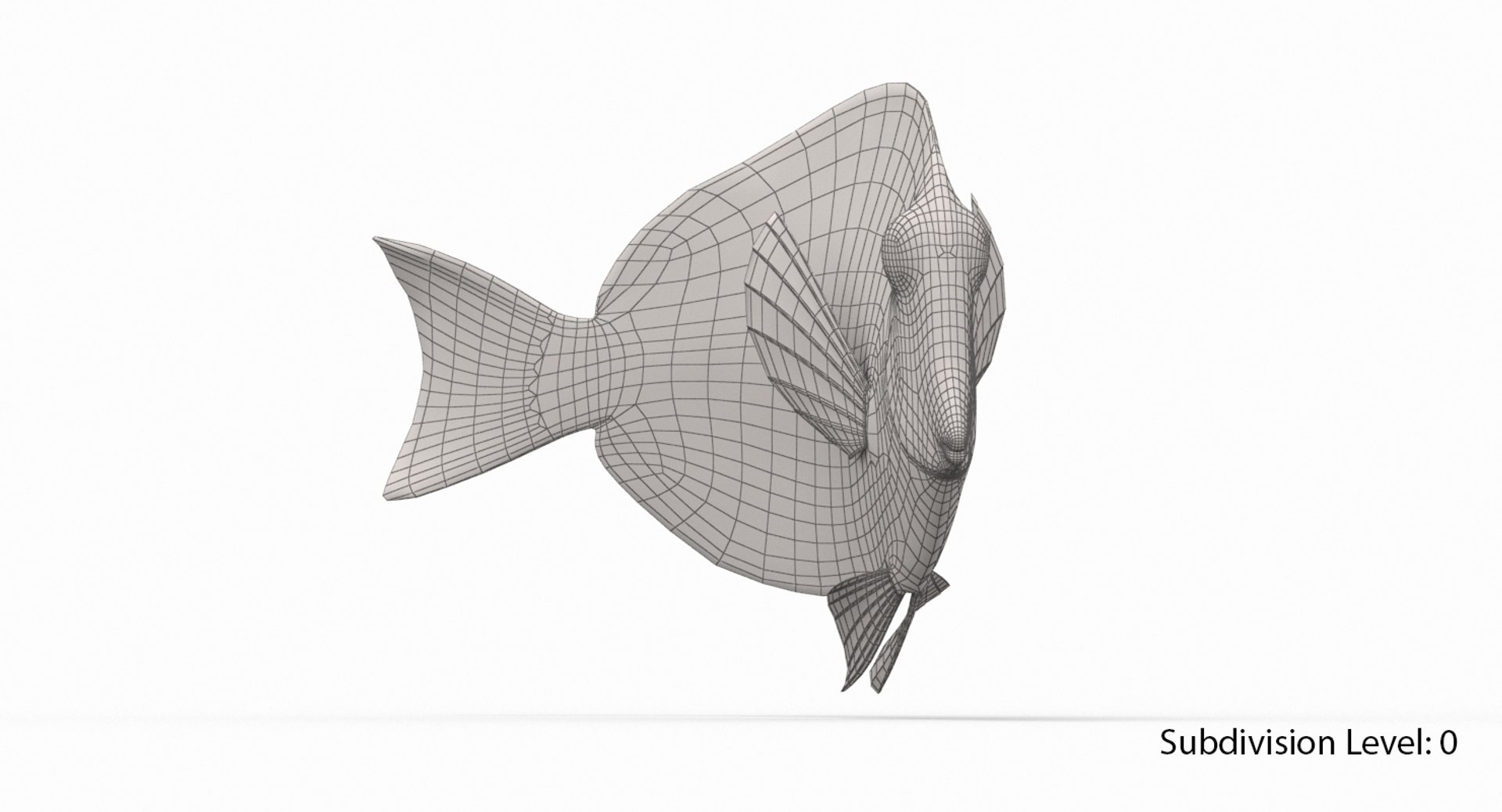 3D Blue Tang Animation Model - TurboSquid 1289396