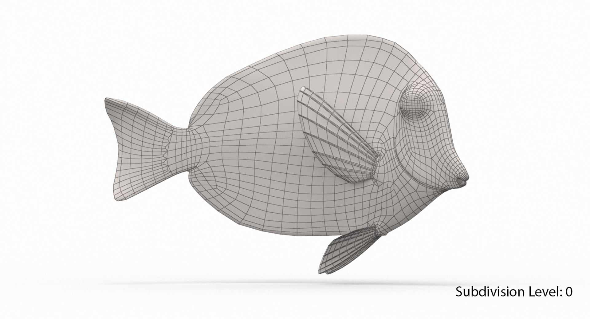 3D Blue Tang Animation Model - TurboSquid 1289396