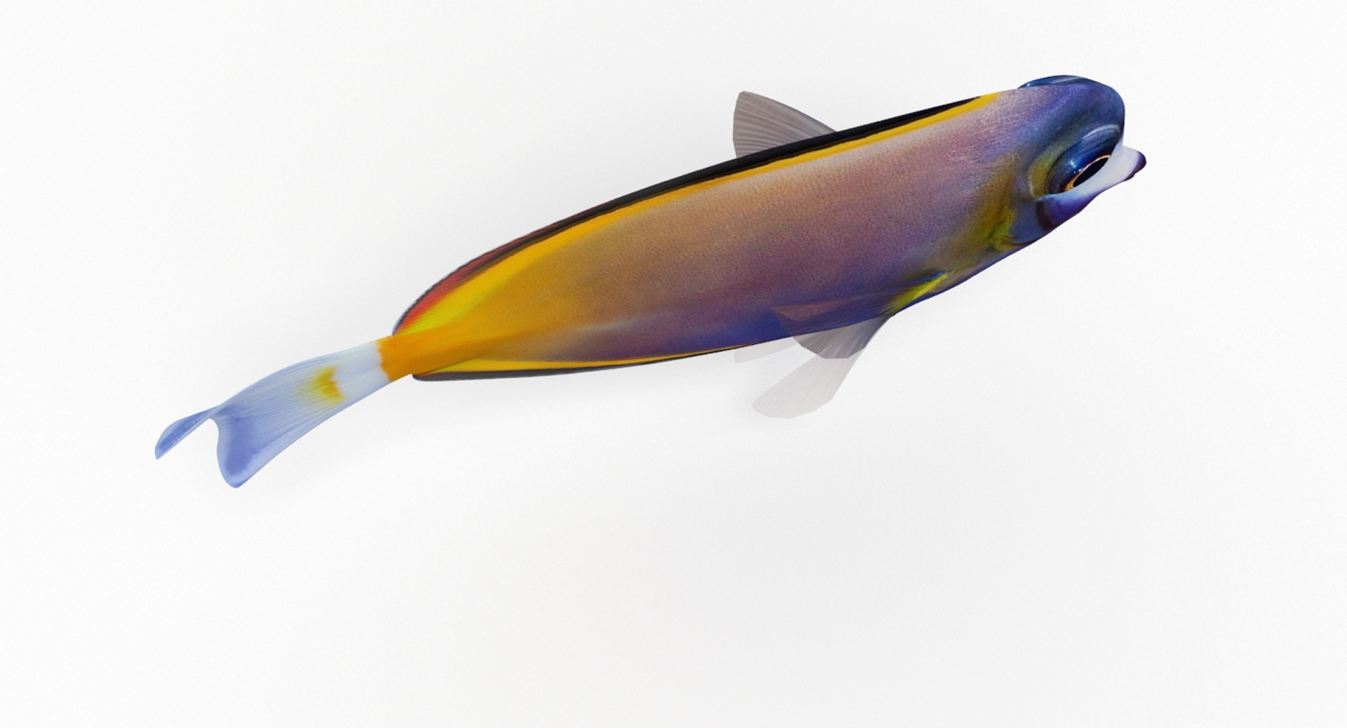 3D Blue Tang Animation Model - TurboSquid 1289396