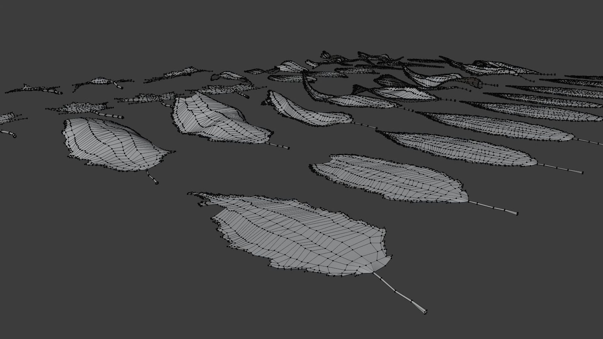 3D Fall Autumn Leaves Pack - TurboSquid 1807651