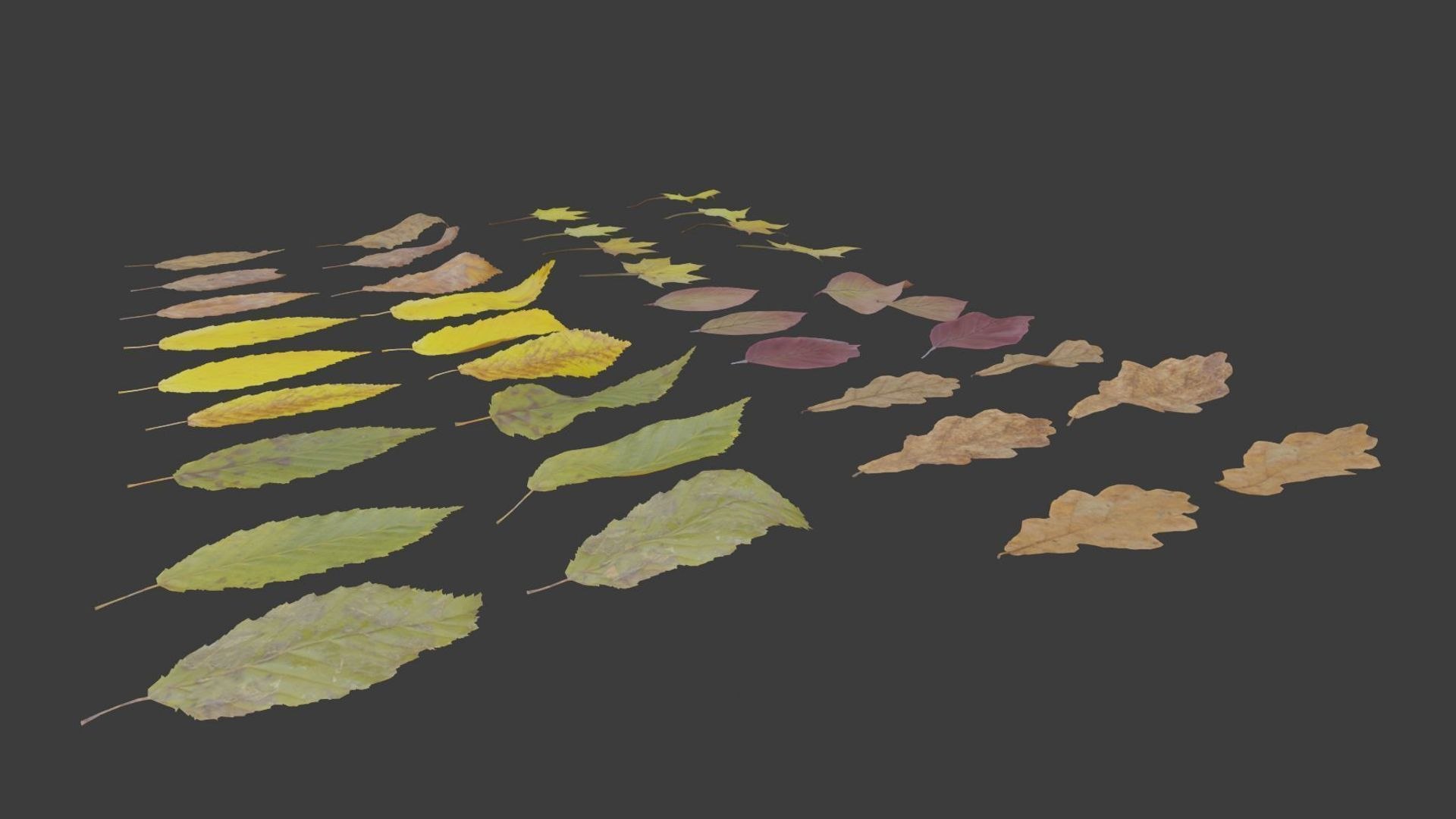 3D Fall Autumn Leaves Pack - TurboSquid 1807651