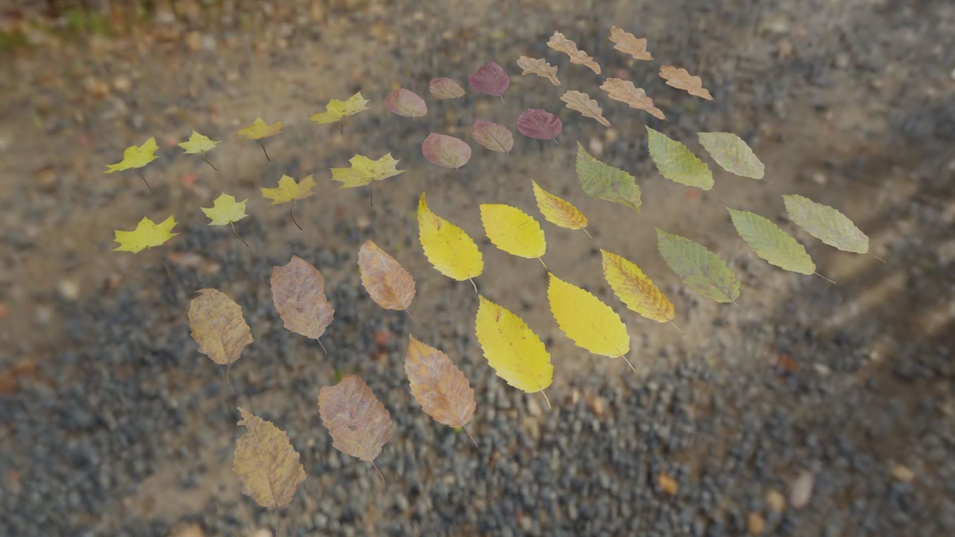 3D Fall Autumn Leaves Pack - TurboSquid 1807651