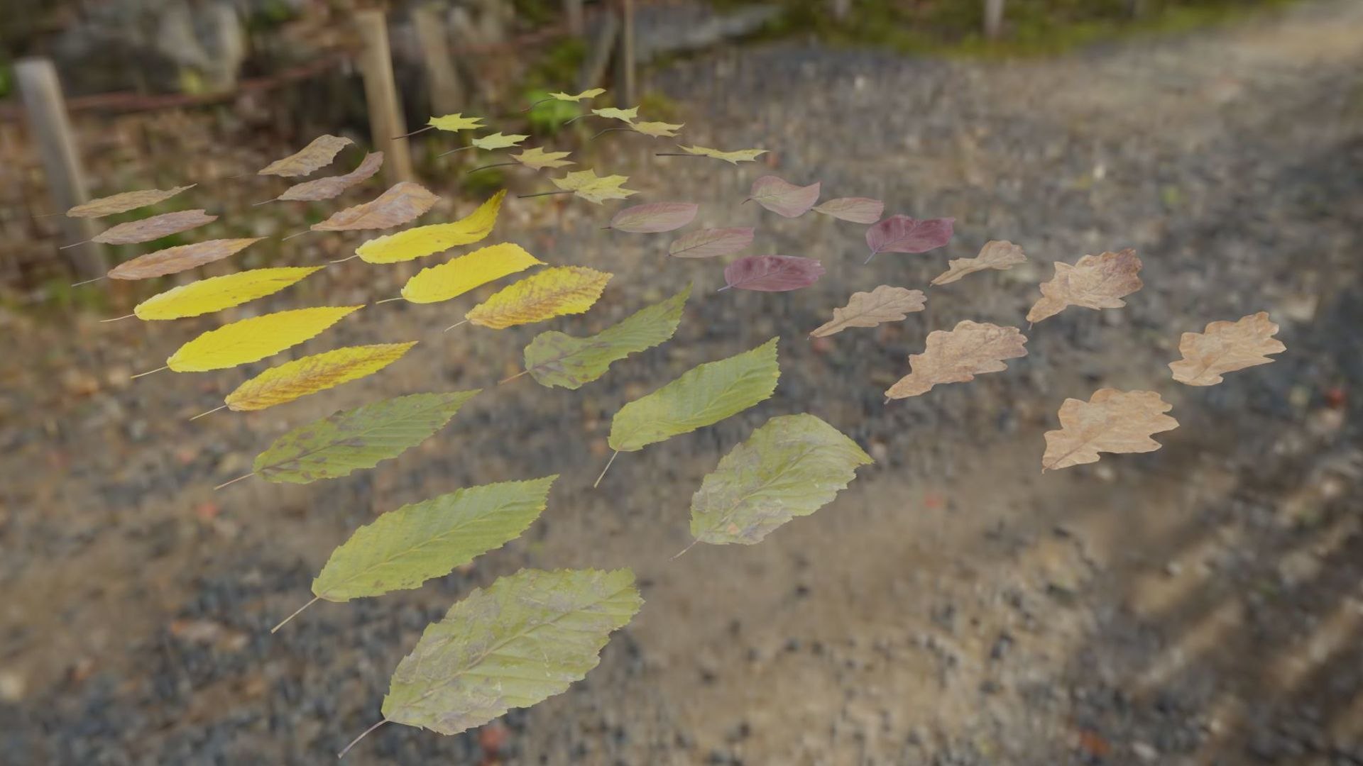 3D Fall Autumn Leaves Pack - TurboSquid 1807651