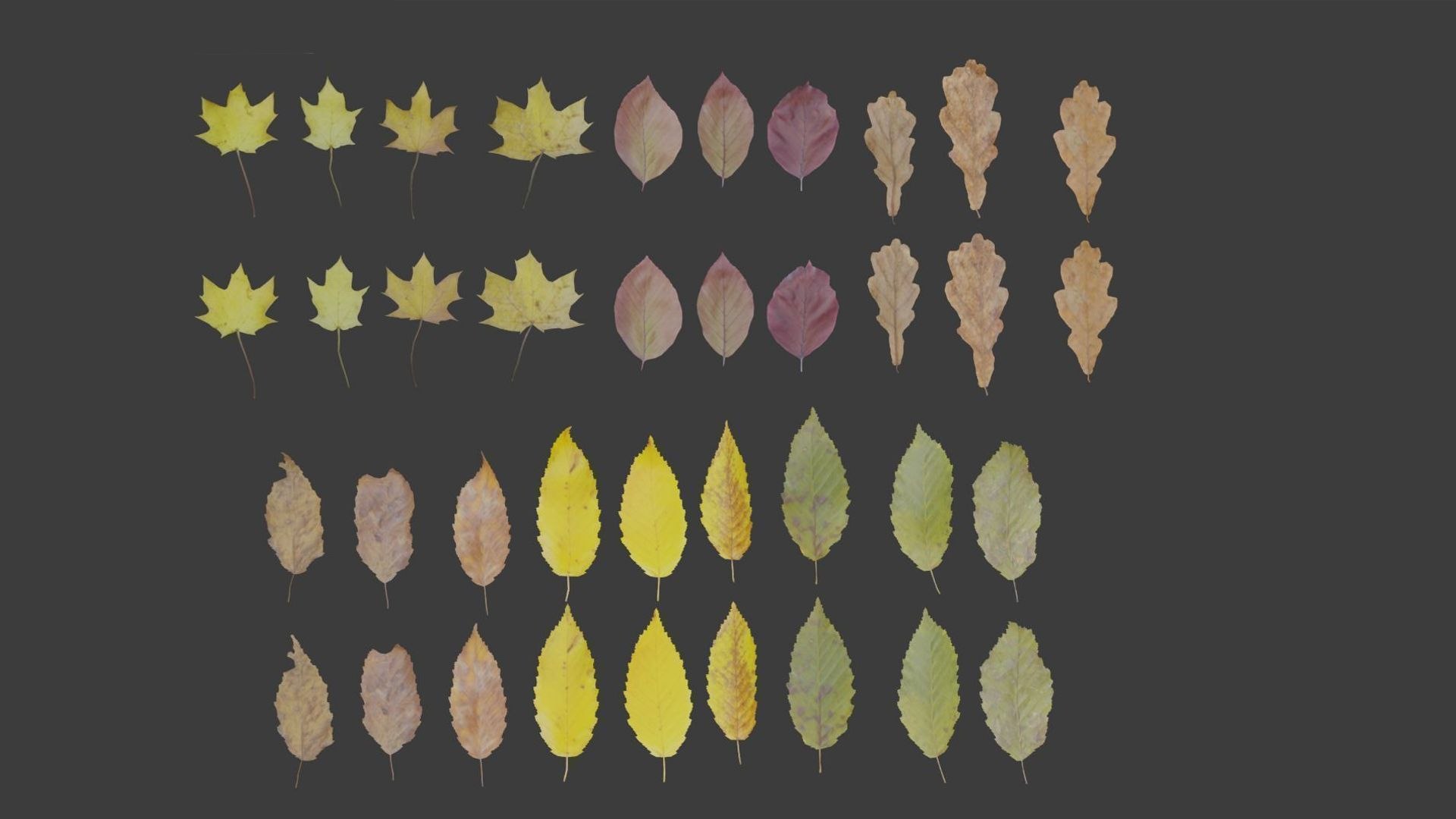 3D Fall Autumn Leaves Pack - TurboSquid 1807651