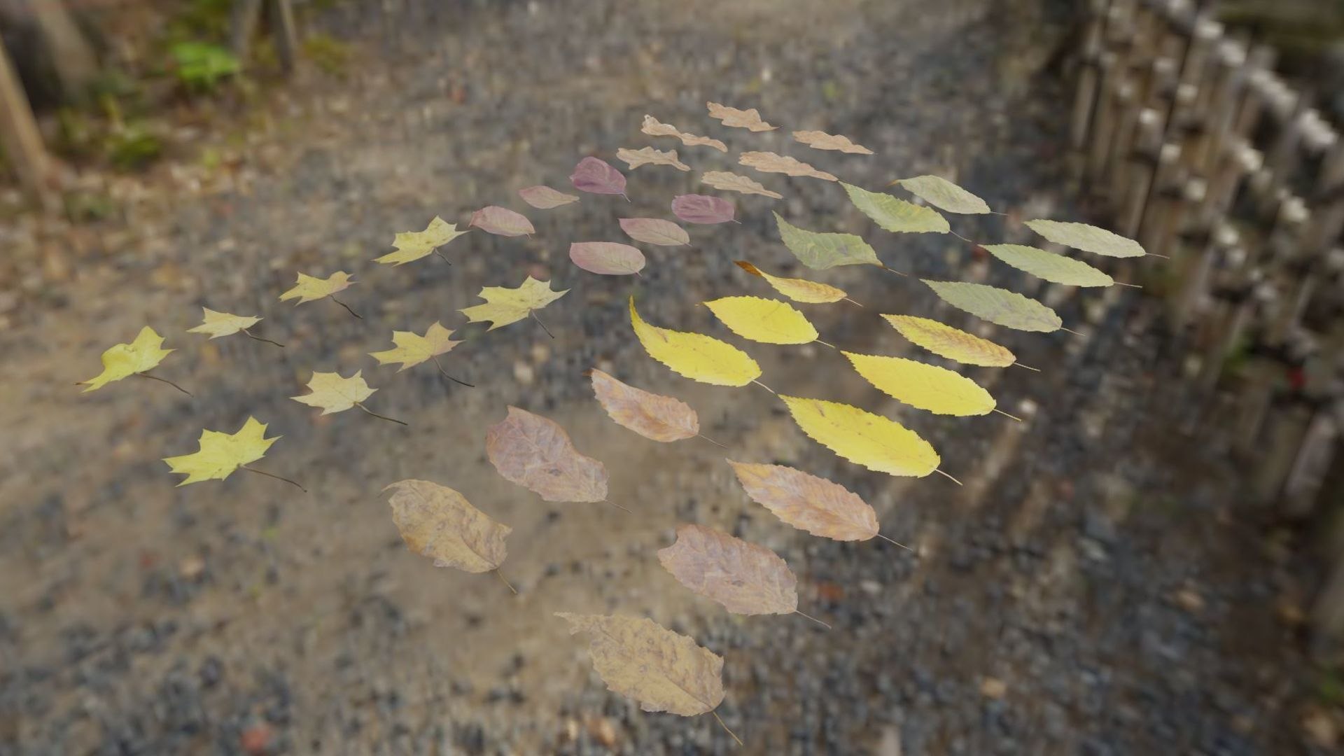 3D Fall Autumn Leaves Pack - TurboSquid 1807651