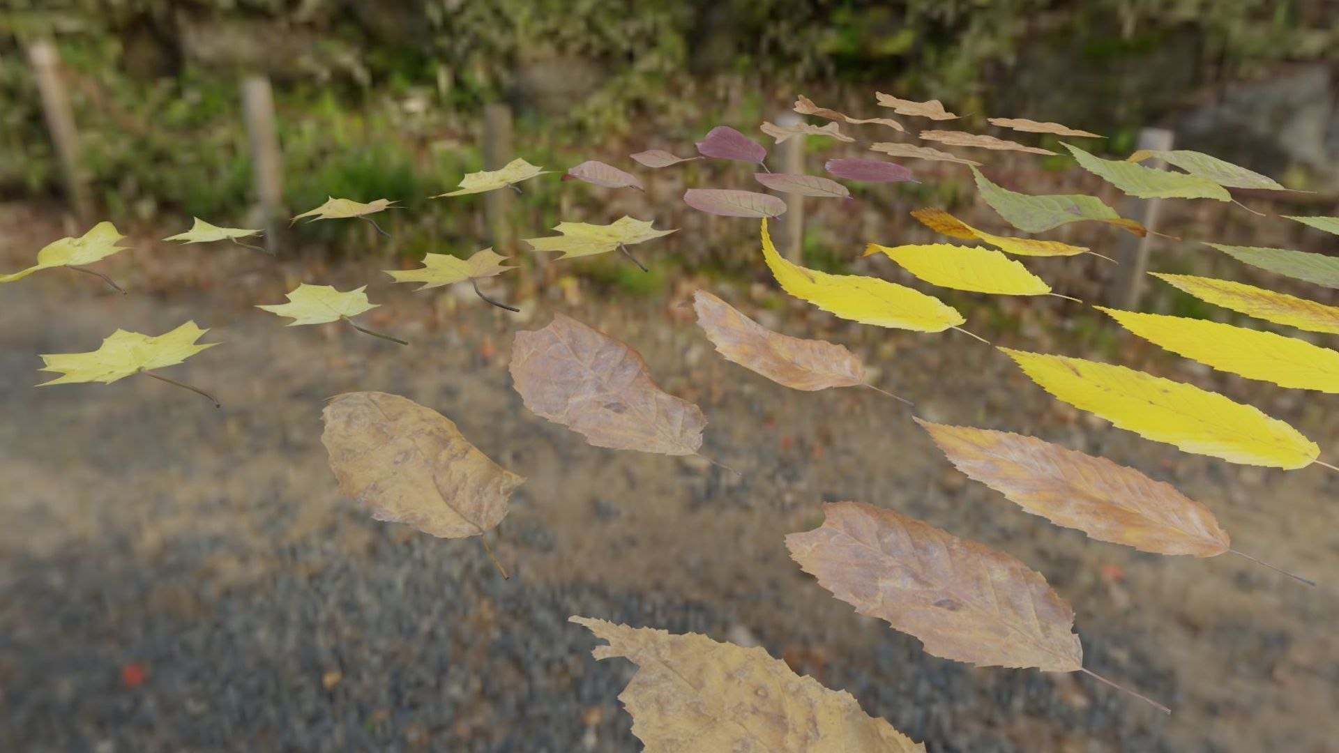3D Fall Autumn Leaves Pack - TurboSquid 1807651