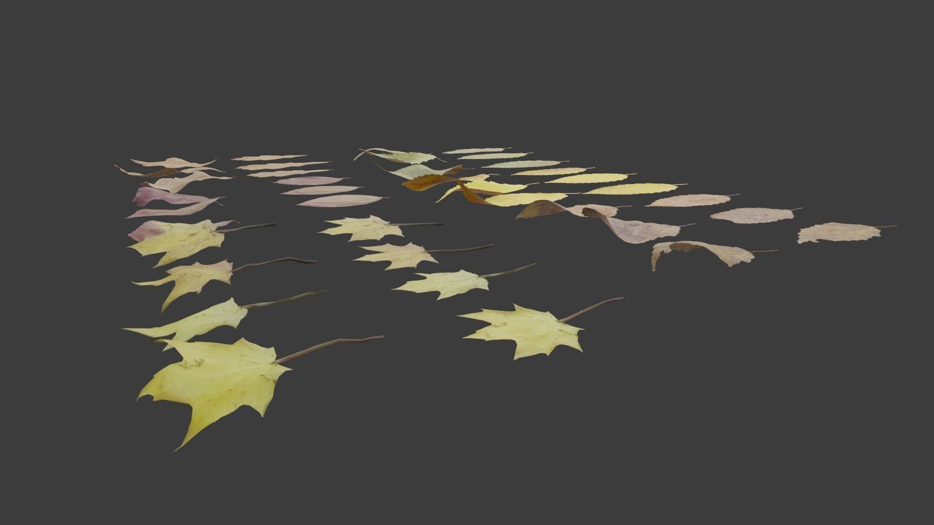 3D Fall Autumn Leaves Pack - TurboSquid 1807651