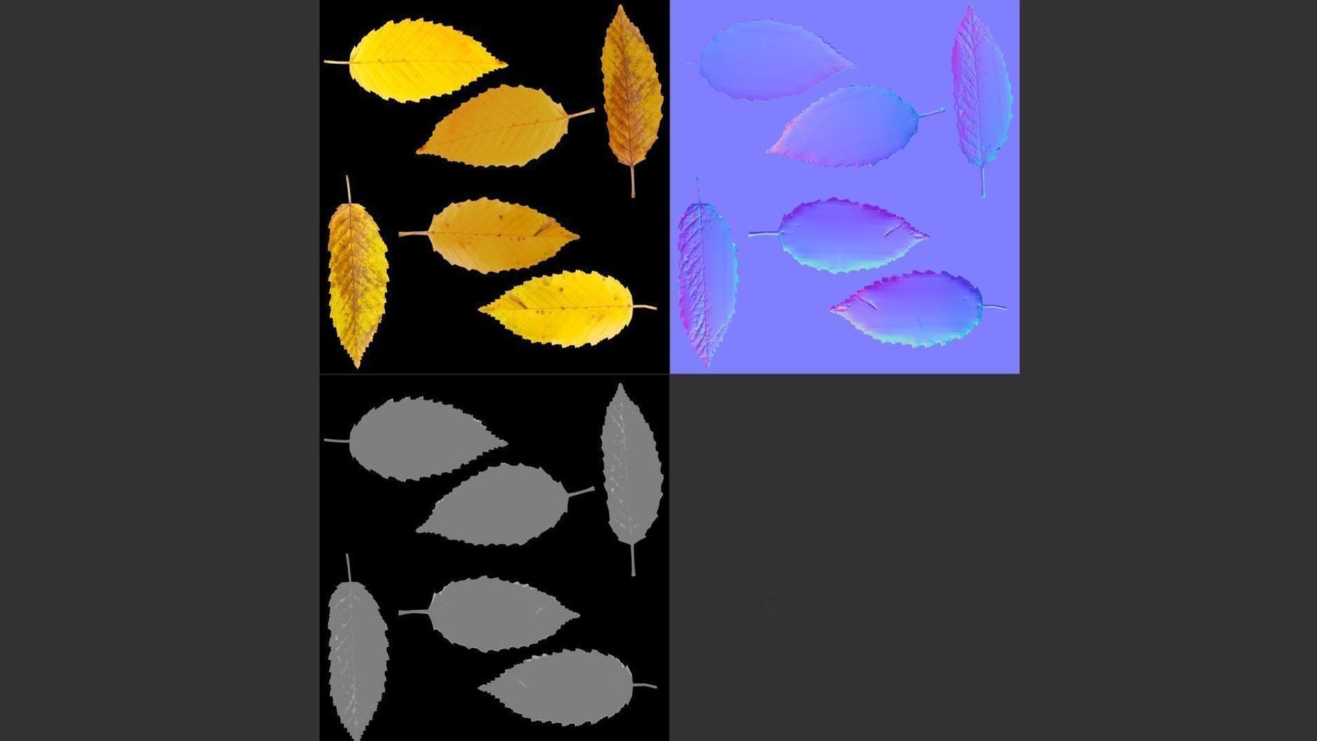 3D Fall Autumn Leaves Pack - TurboSquid 1807651