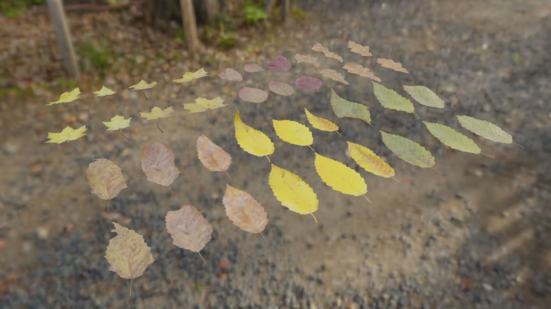 3D Fall Autumn Leaves Pack - TurboSquid 1807651