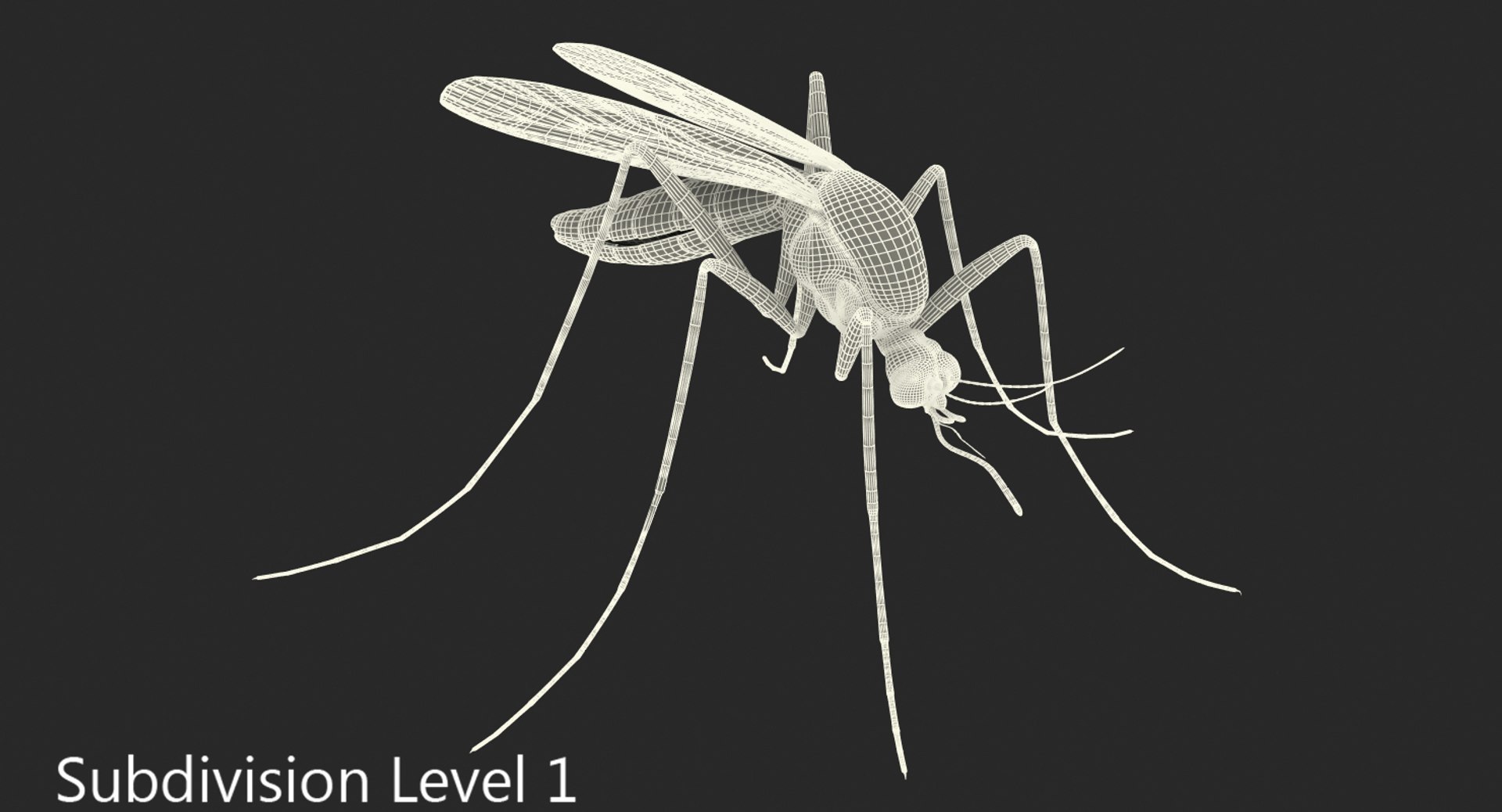 3d mosquito fur model